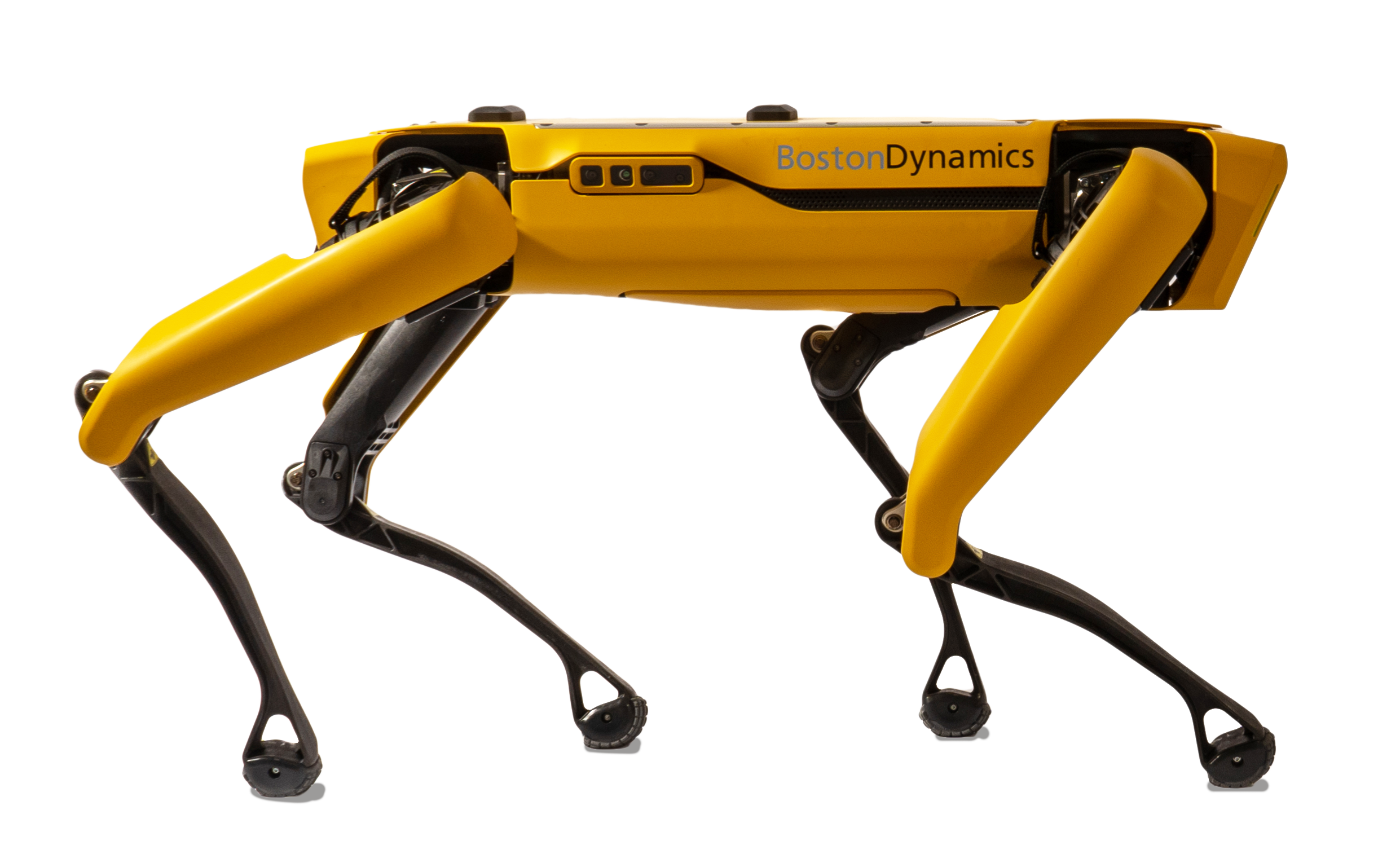 Boston Dynamics Spot Jetzt Auch In Europa Zu Haben Botzeit Boston Dynamics Spot Jetzt Auch In Europa Zu Haben Botzeit